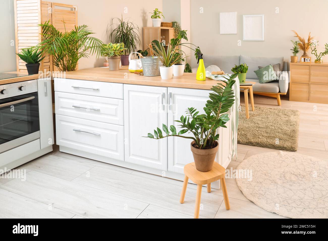 Interior of kitchen with green plants and counters Stock Photo - Alamy