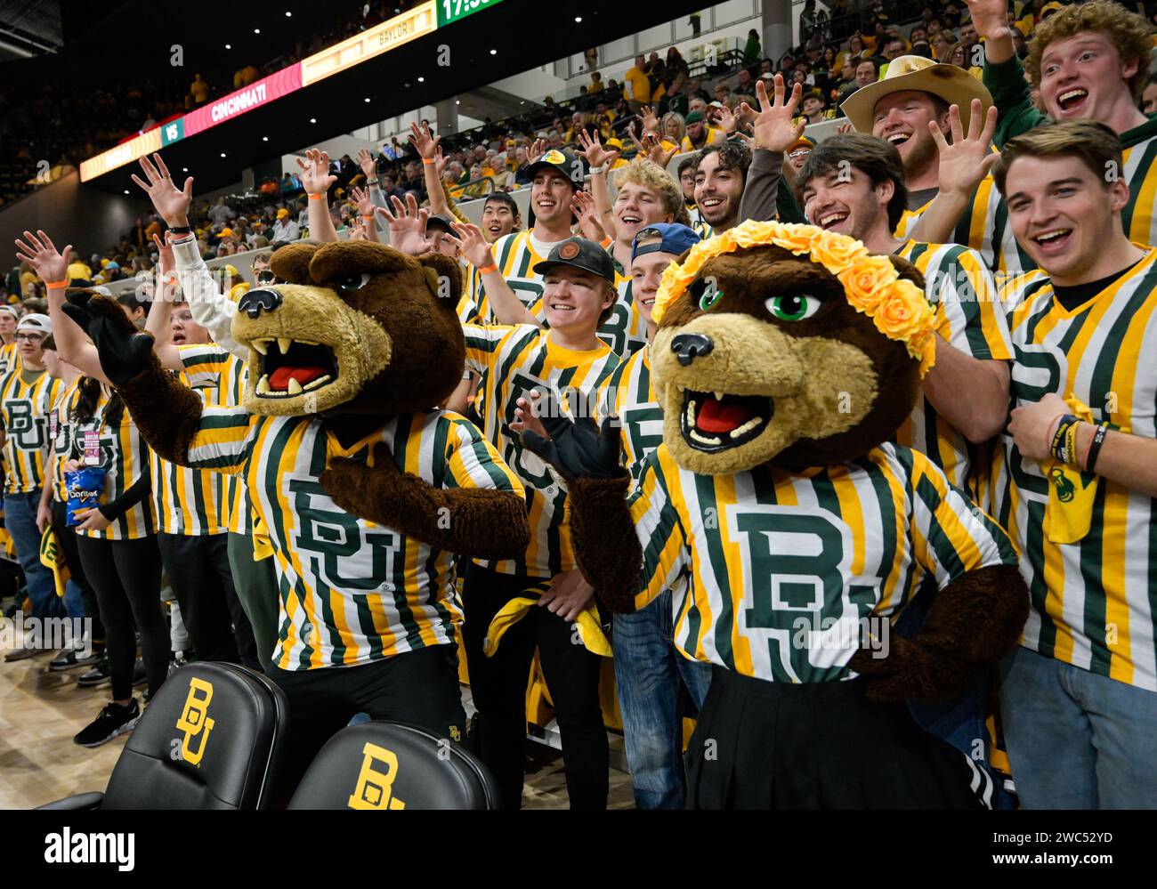 Waco, Texas, USA. 13th Jan, 2024. Baylor Bears mascots and fans before ...