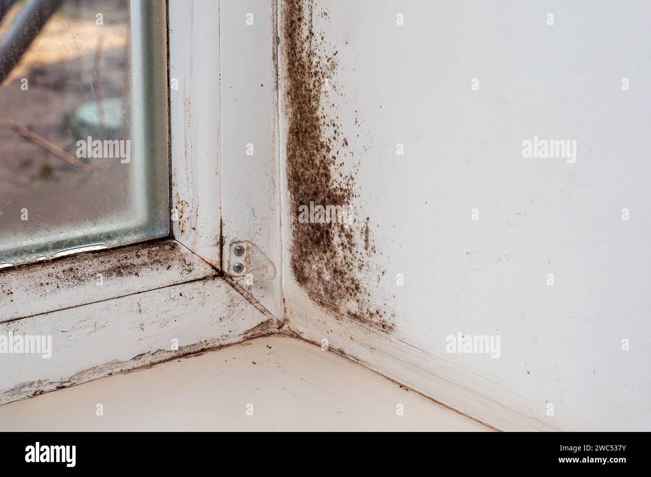 Black mold on window slope, condensation on plastic window. Winter wall ...