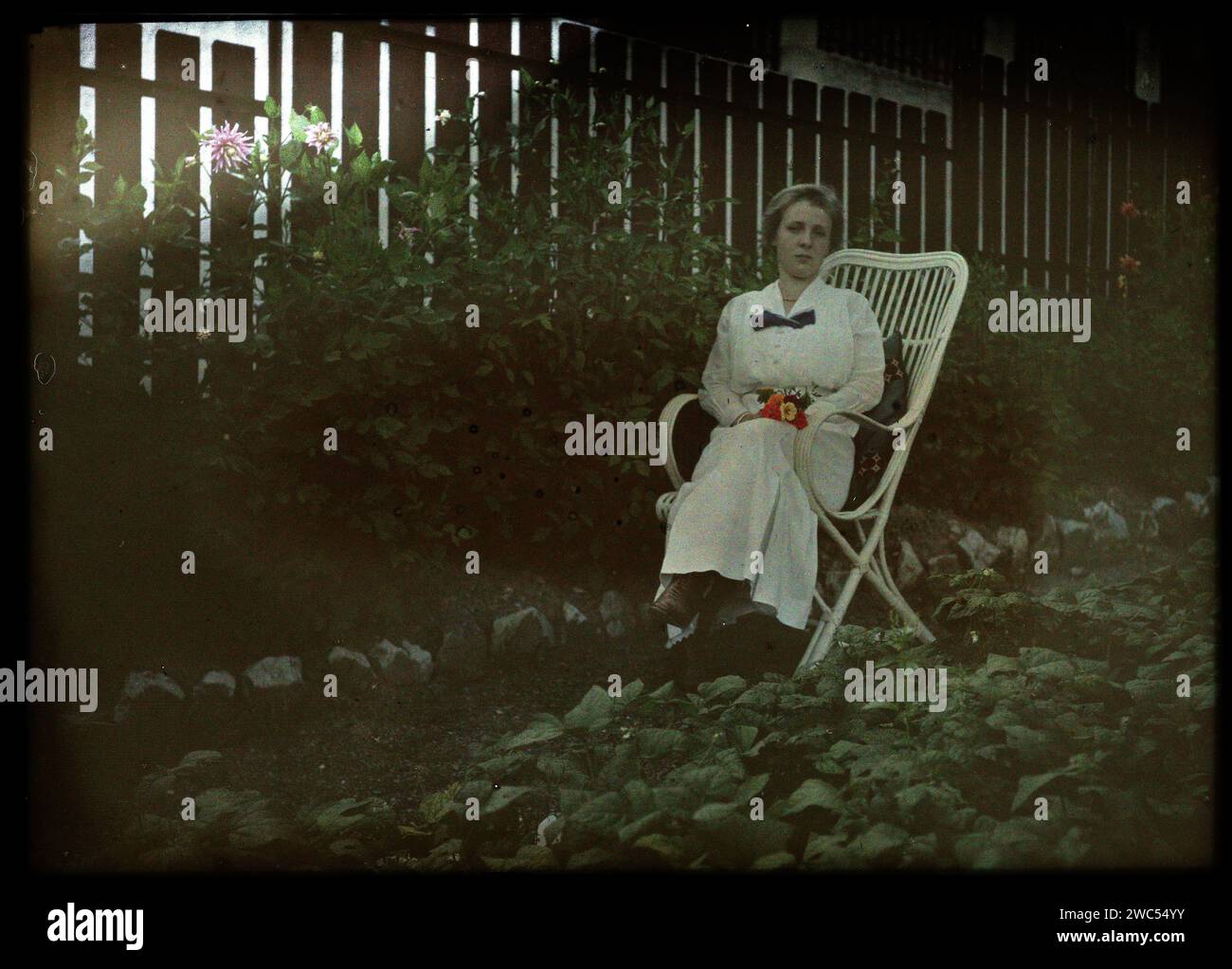 Woman sitting in Garden at Roses, Anonymous, 1915 - 1925 photograph slide Stock Photo - Alamy