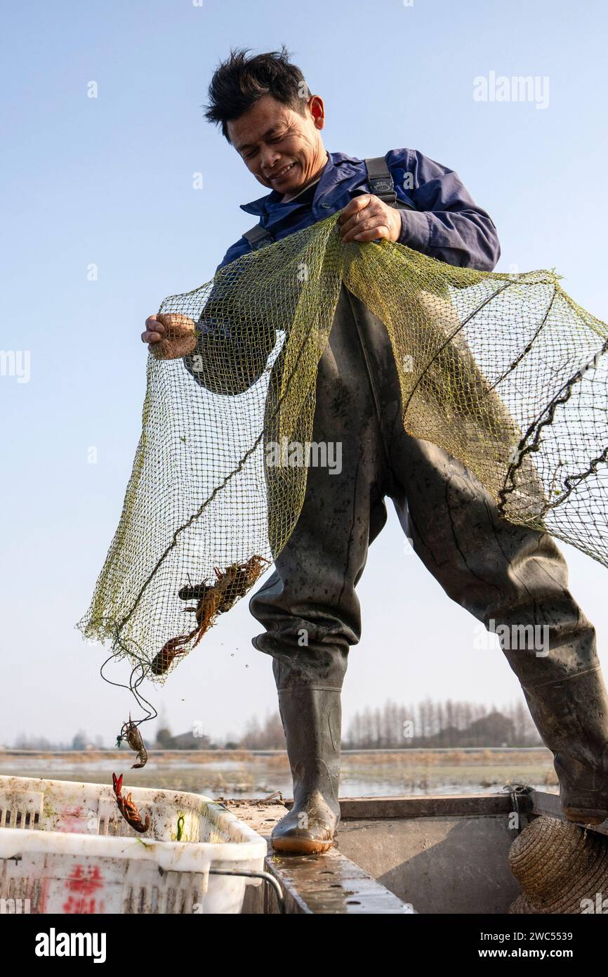 Changsha, China's Hunan Province. 14th Jan, 2024. A farmer harvests ...