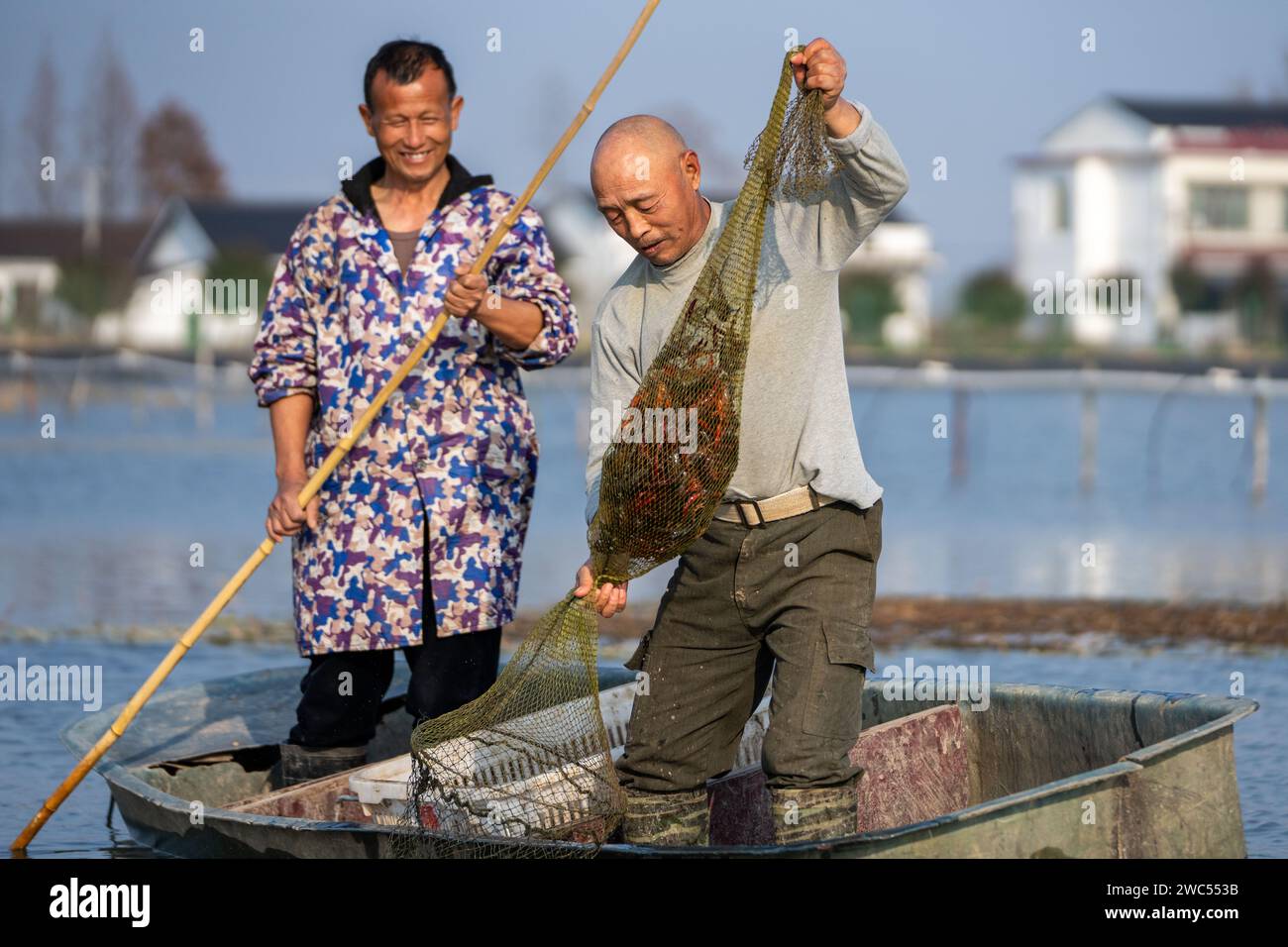 Changsha, China's Hunan Province. 14th Jan, 2024. Farmers harvest ...