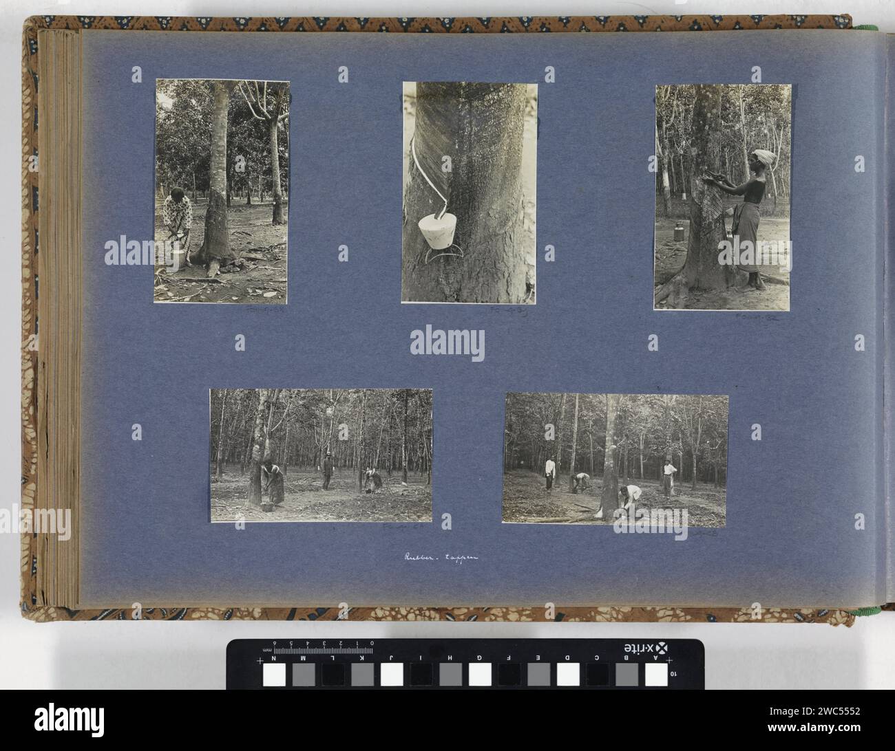 Two women tap rubber on a plantation on Sumatra, Anonymous, c. 1900 - c ...