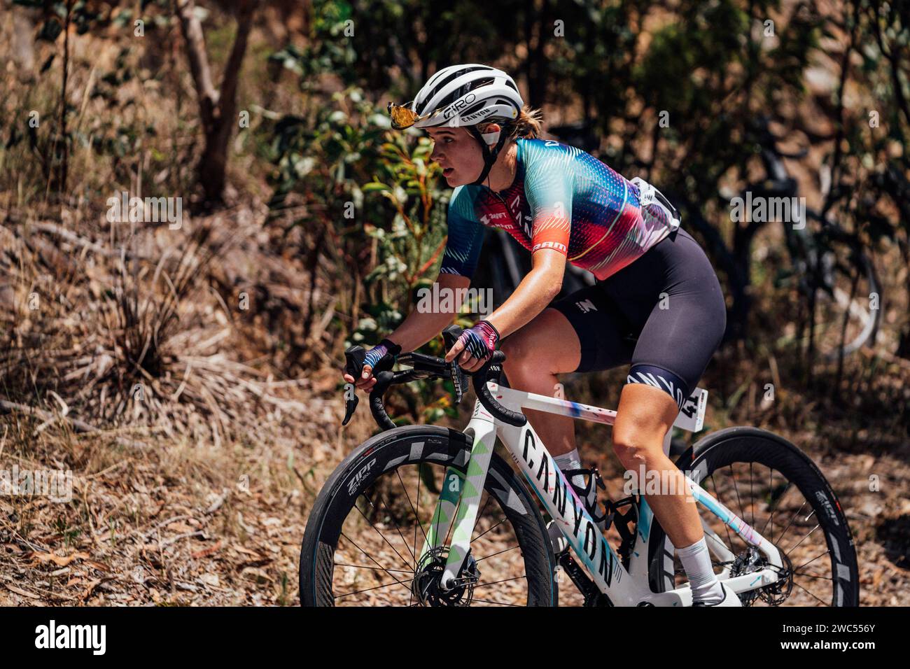 Adelaide, Australia. 14th Jan, 2024. Picture by Zac Williams/SWpix.com ...