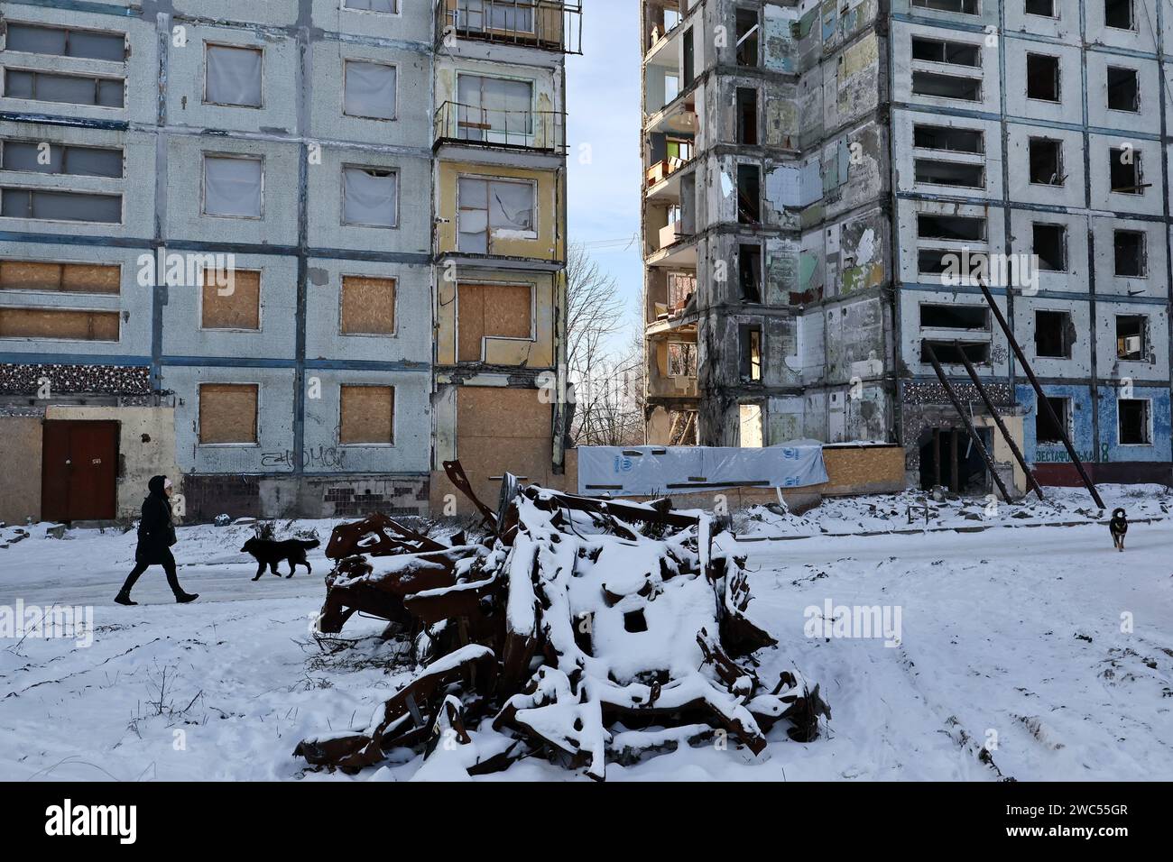 Zaporizhzhia, Ukraine. 13th Jan, 2024. A woman and stray dogs are seen ...