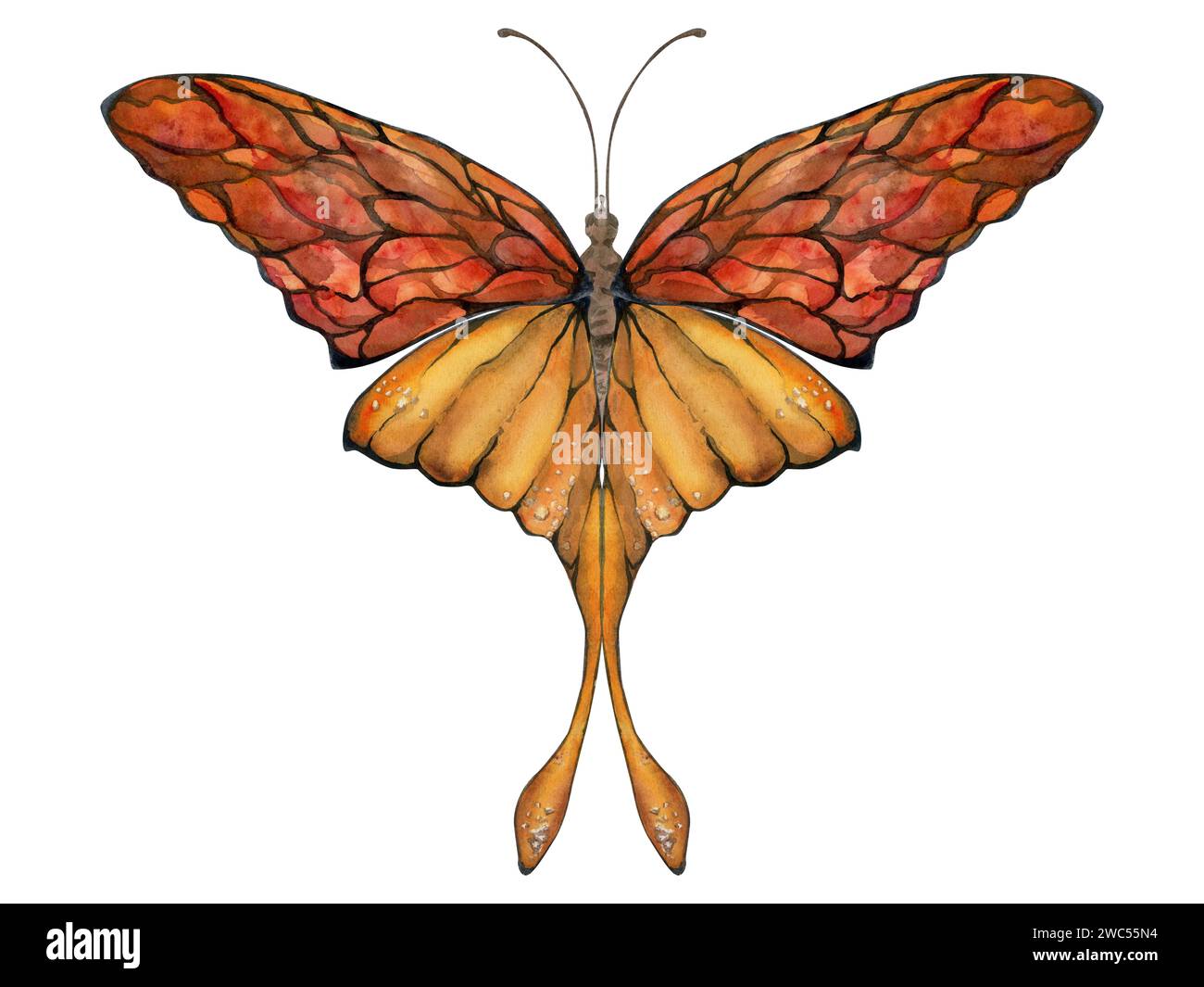 Hand drawn watercolor illustration butterfly fairy wings gem crystal ...