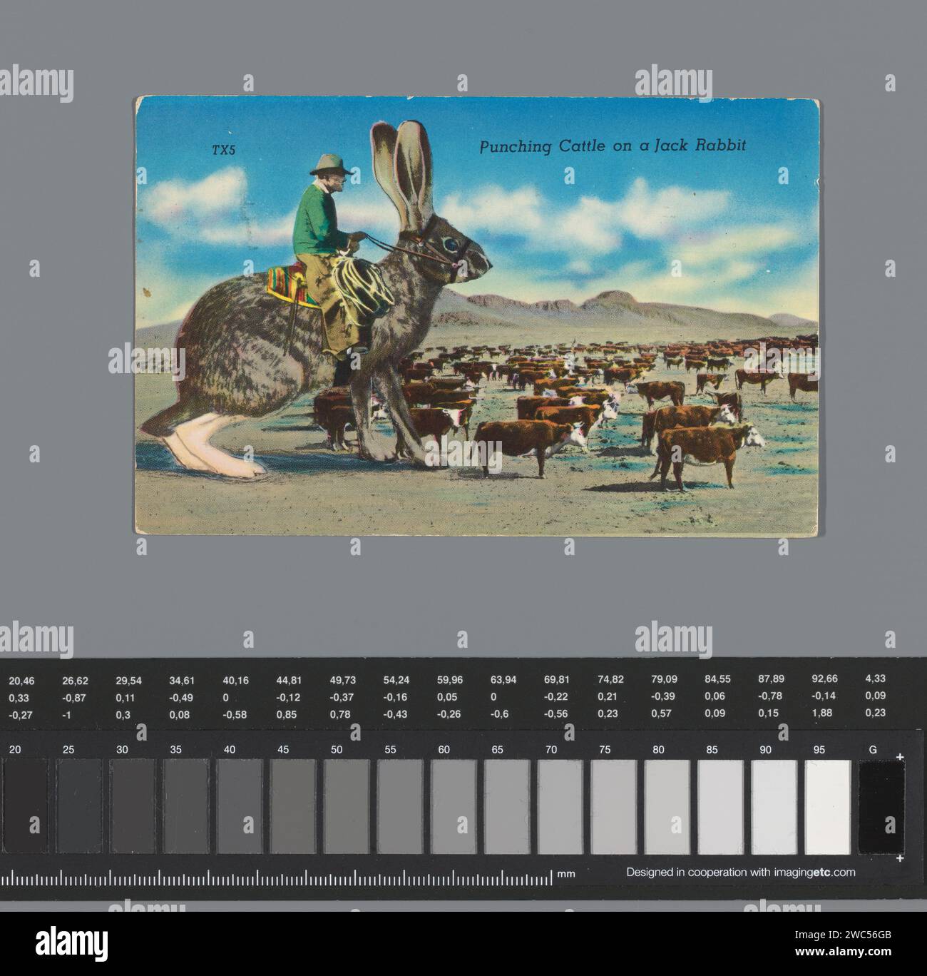 Punching cows hi-res stock photography and images - Alamy