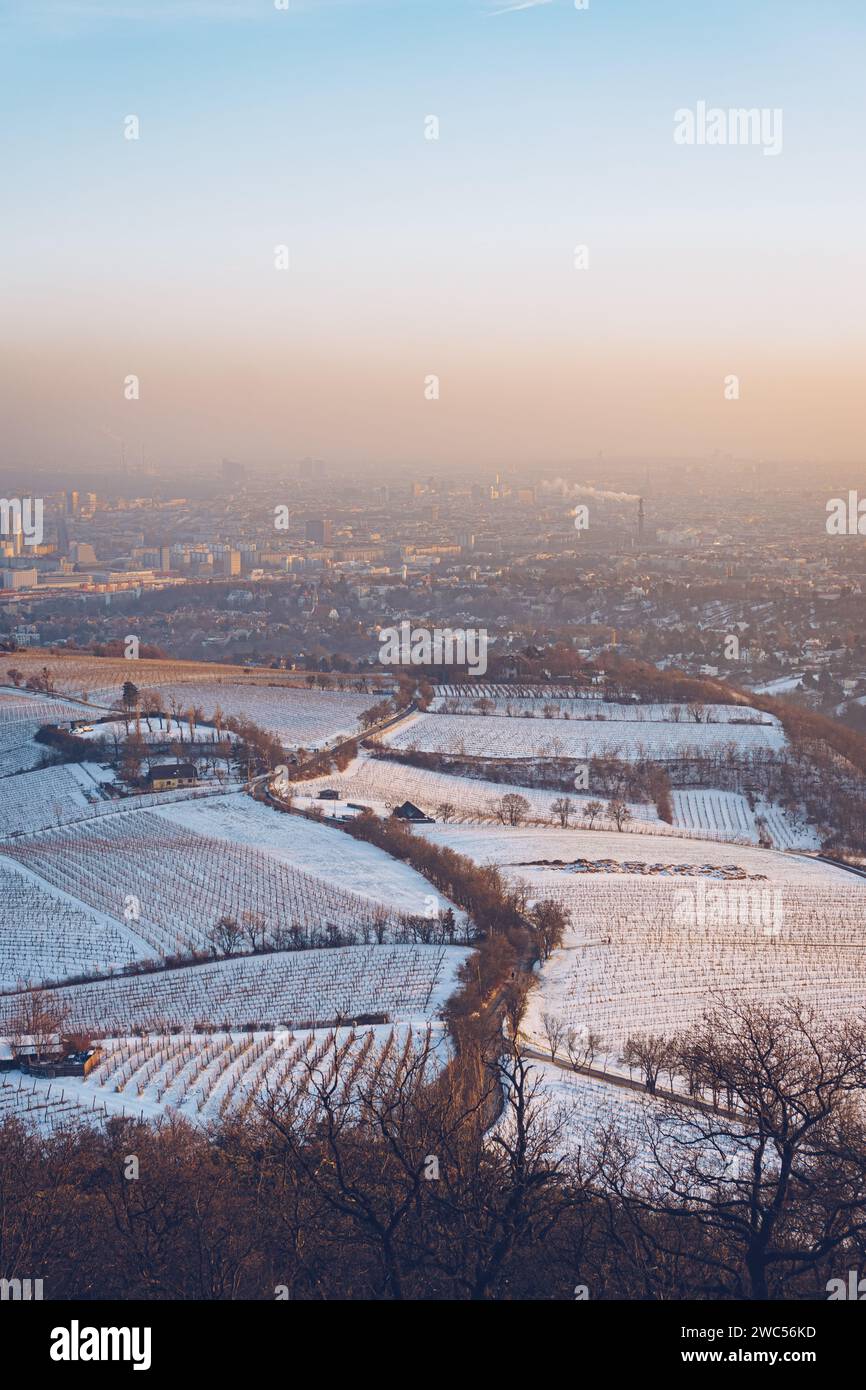 Vienna, Austria in Europe. Panoramic view to the city and the danube ...