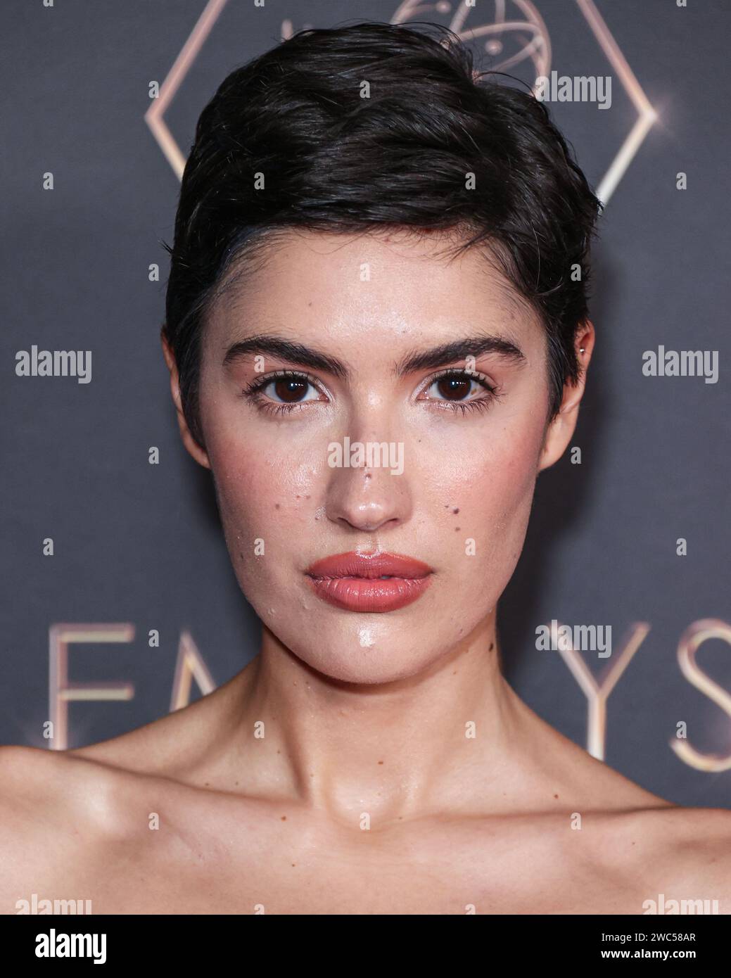 LOS ANGELES, CALIFORNIA, USA - JANUARY 13: Patricia Manfield arrives at ...