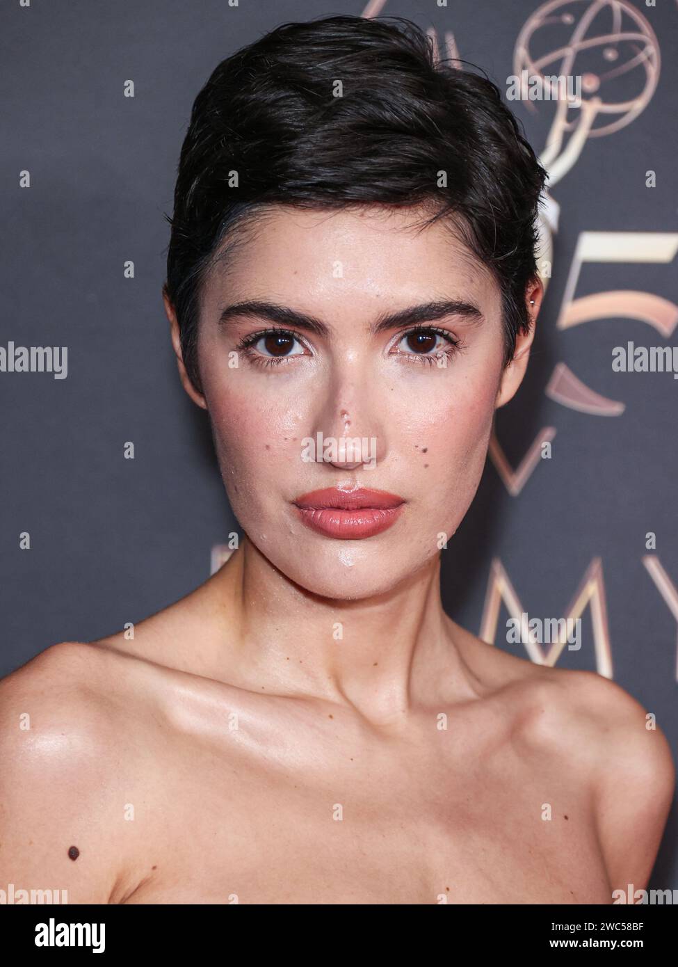 Los Angeles, United States. 13th Jan, 2024. LOS ANGELES, CALIFORNIA ...