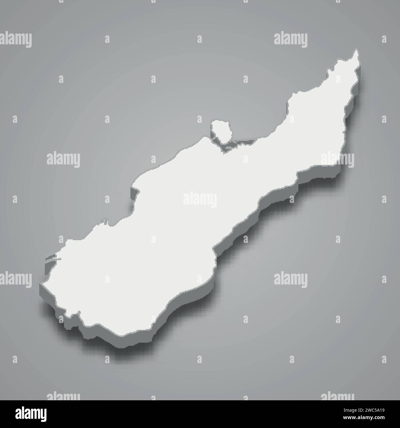 3d isometric map of Nelson is a region of New Zealand, vector ...