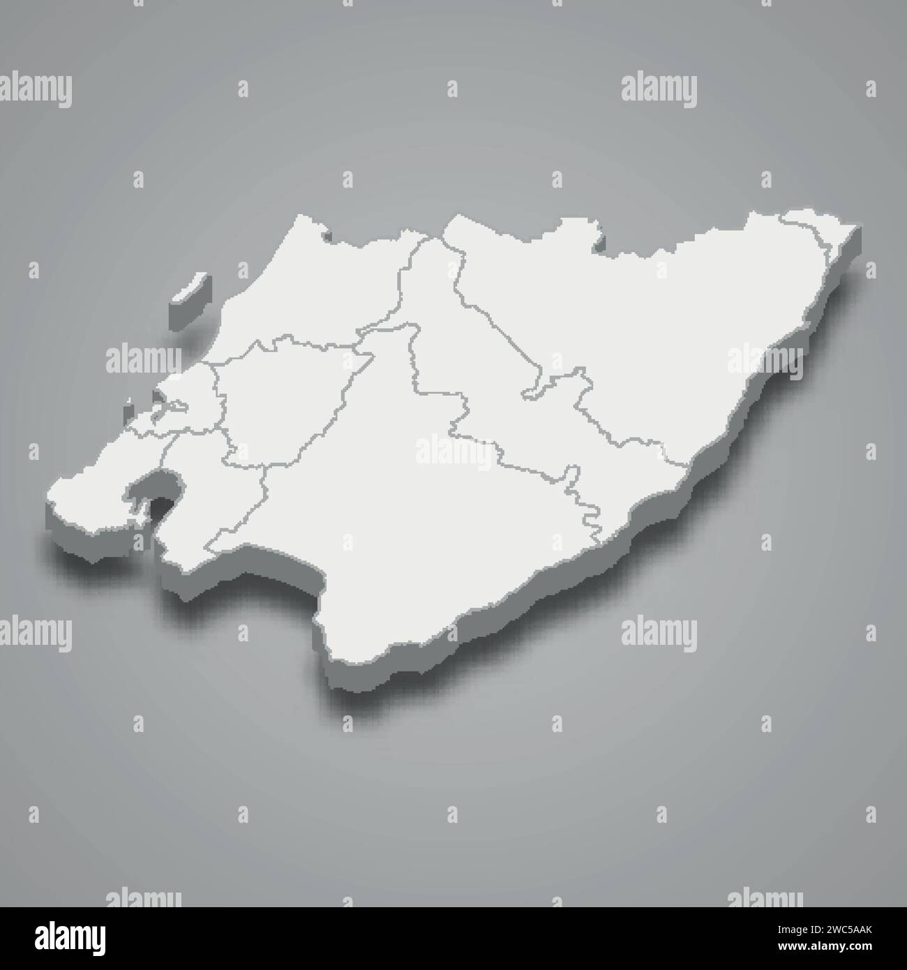 3d isometric map of Wellington is a region of New Zealand, vector ...