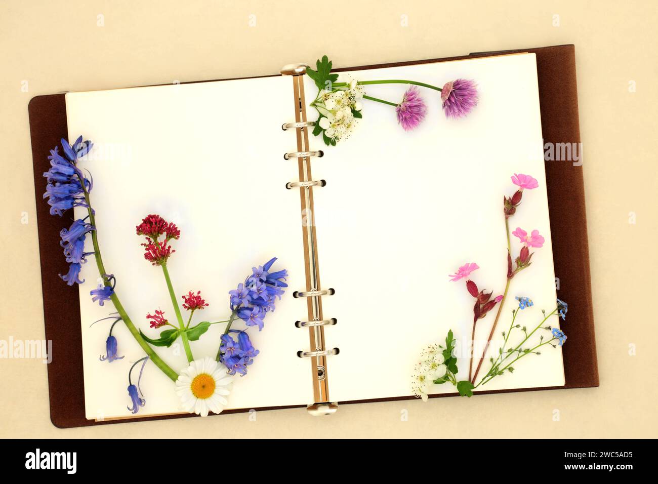 Wildflowers from the British countryside with old leather notebook ...