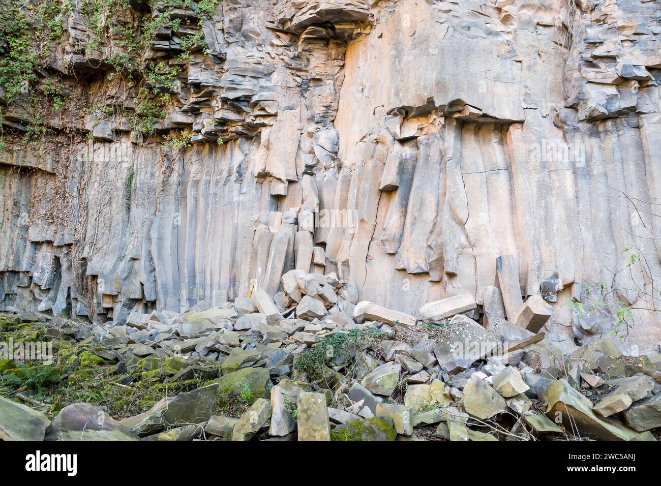 vertical lava columns, old lava flow, basalt column, hexagonal shape ...