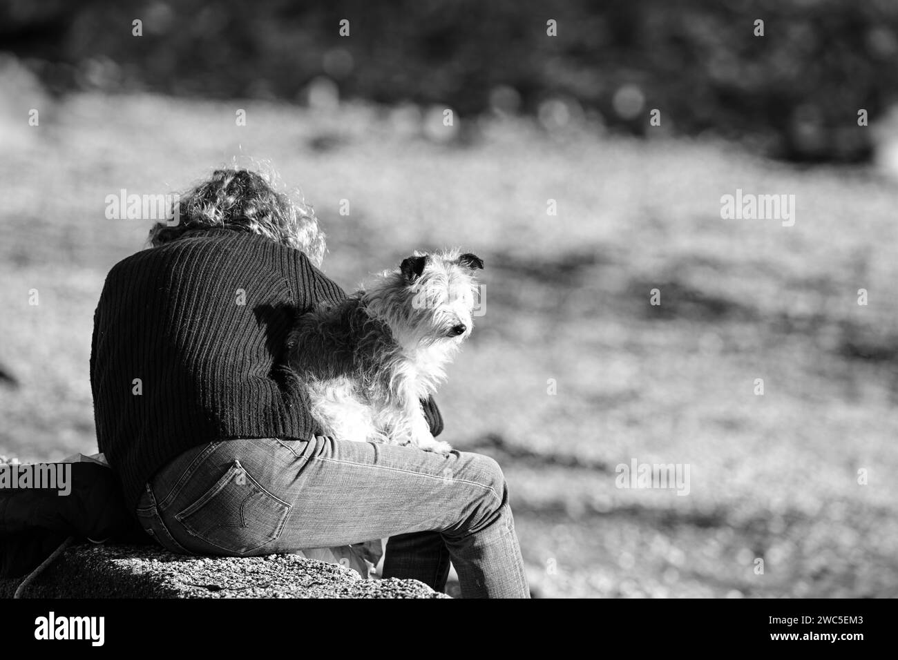 Canines on beach with owners Black and White Stock Photos & Images - Alamy