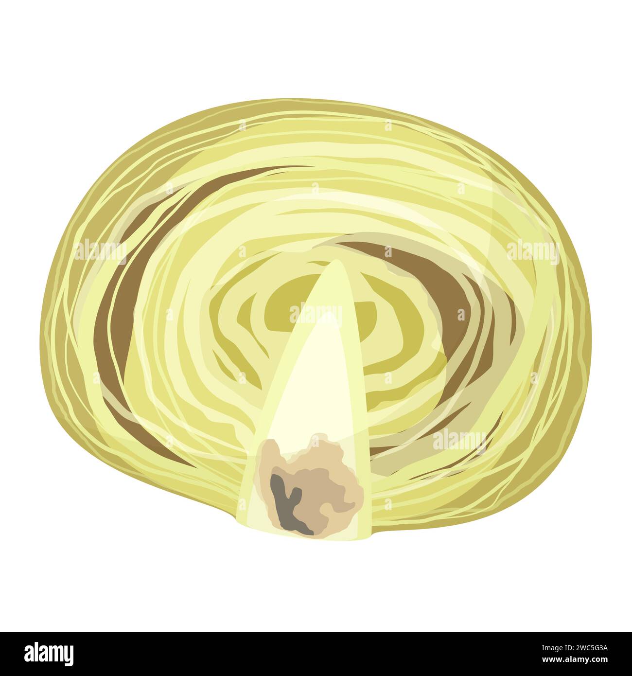 Spoiled cabbage vegetable. Rotten food product, organic food waste ...