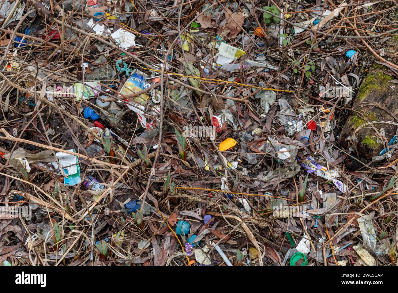 London, UK.13th Jan, 2024. Over 70 volunteers from the local community ...