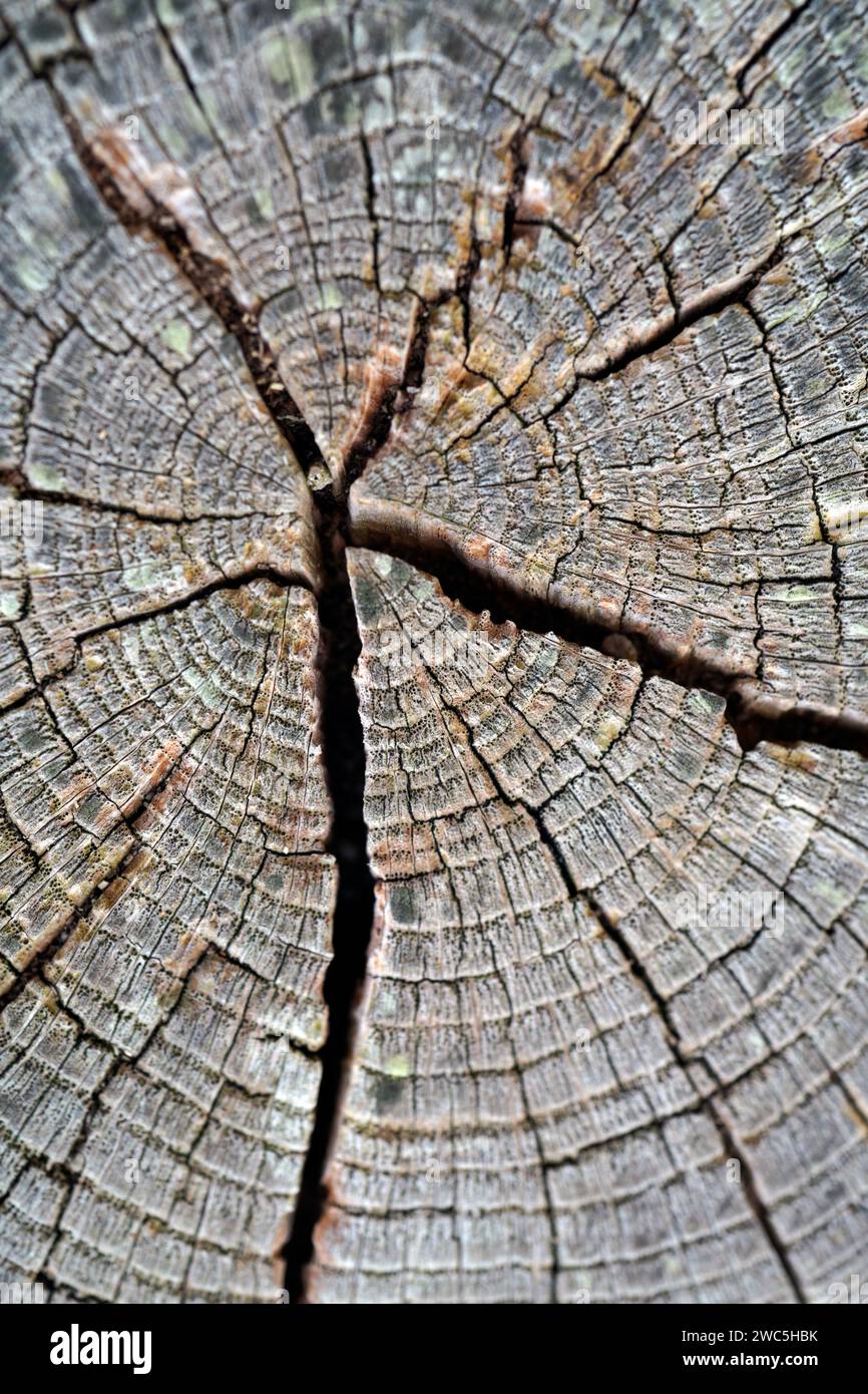 Log out text hi-res stock photography and images - Alamy