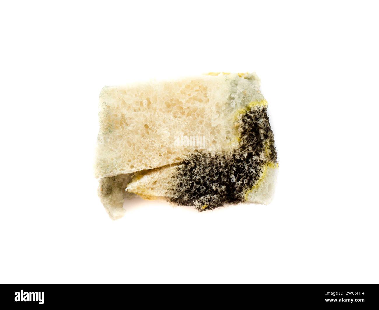 Rotten bread Cut Out Stock Images & Pictures - Alamy