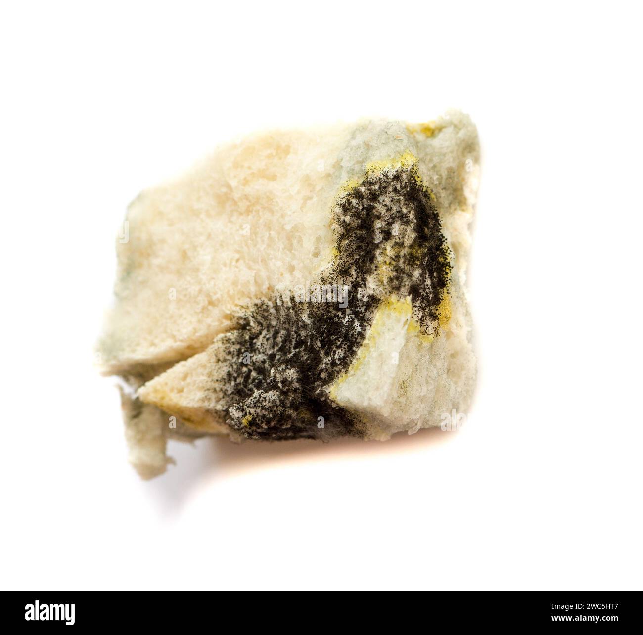 Stale white bread Cut Out Stock Images & Pictures - Alamy