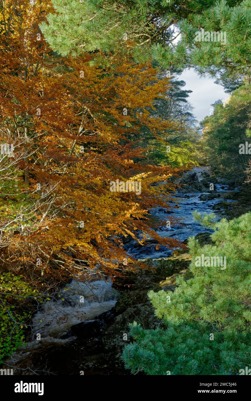 Water of tarf hi-res stock photography and images - Alamy