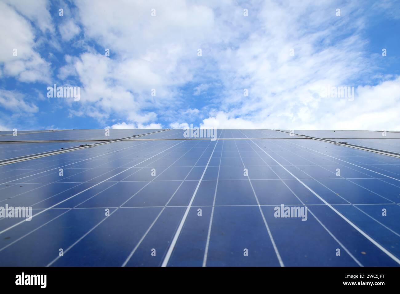Solar panel. Solar panel produces green, environmentally friendly ...
