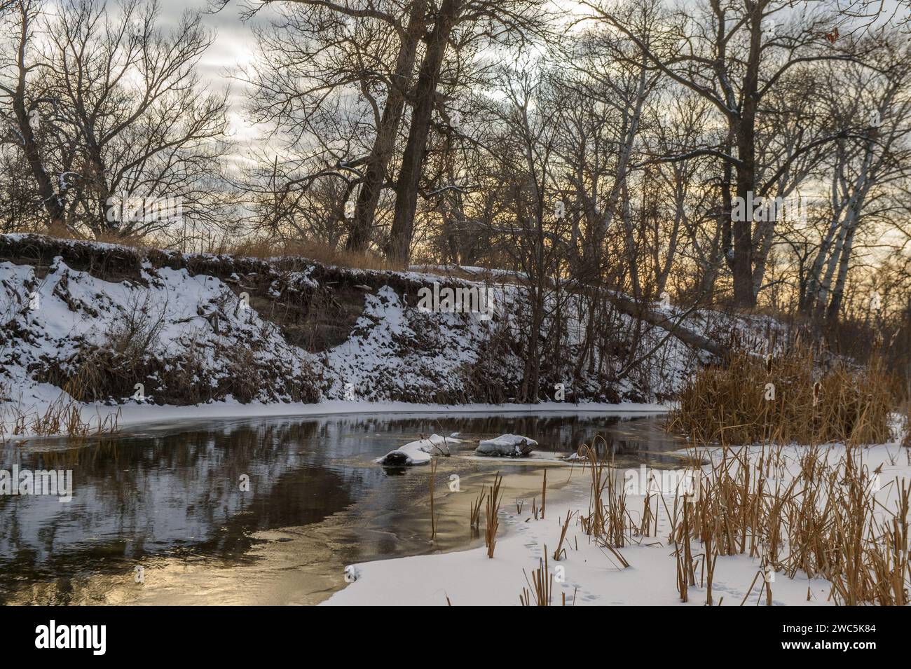 river in the winter forest near the city of Severodonetsk Stock Photo ...