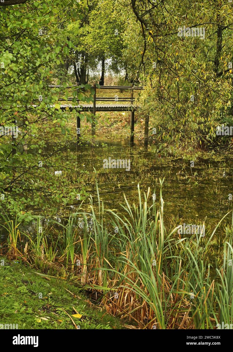 Landscape near Kosava. Belarus Stock Photo - Alamy