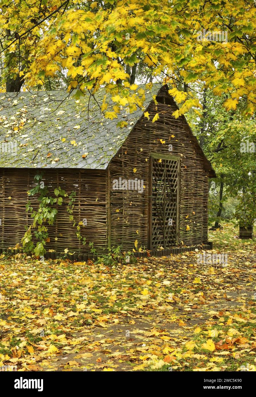 Wooden pavilion near Kosava. Belarus Stock Photo - Alamy