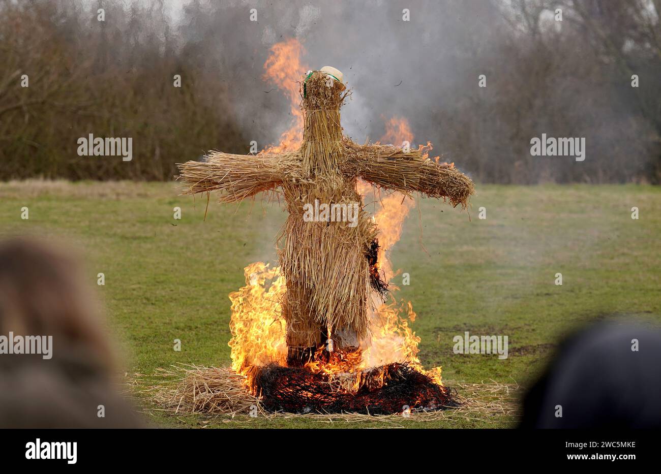 The Straw Bear is burnt to mark the end of the Whittlesea Straw Bear ...