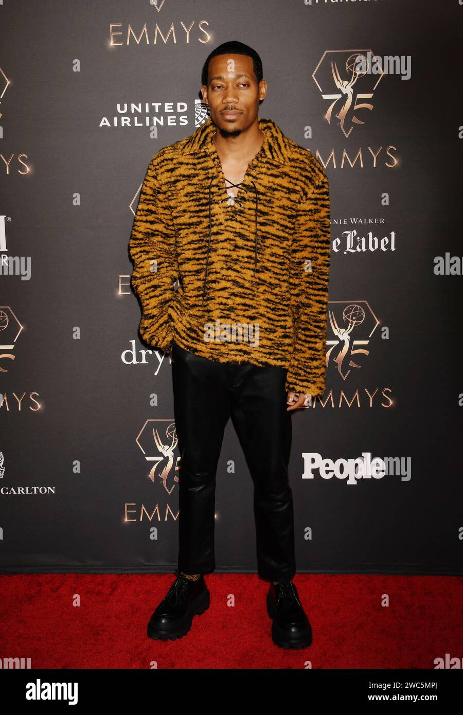 LOS ANGELES, CALIFORNIA - JANUARY 13: Tyler James Williams attends the ...