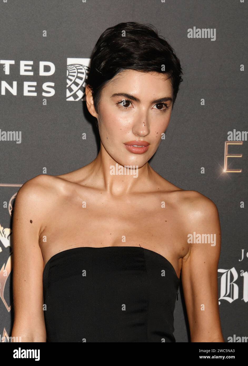 LOS ANGELES, CALIFORNIA - JANUARY 13: Patricia Manfield attends the ...