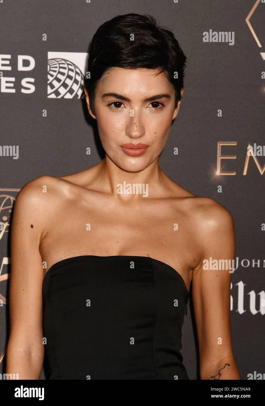 LOS ANGELES, CALIFORNIA - JANUARY 13: Patricia Manfield attends the ...