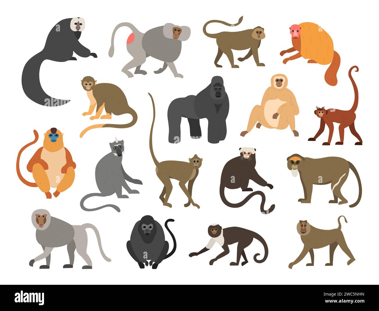 Furry monkeys Cut Out Stock Images & Pictures - Alamy