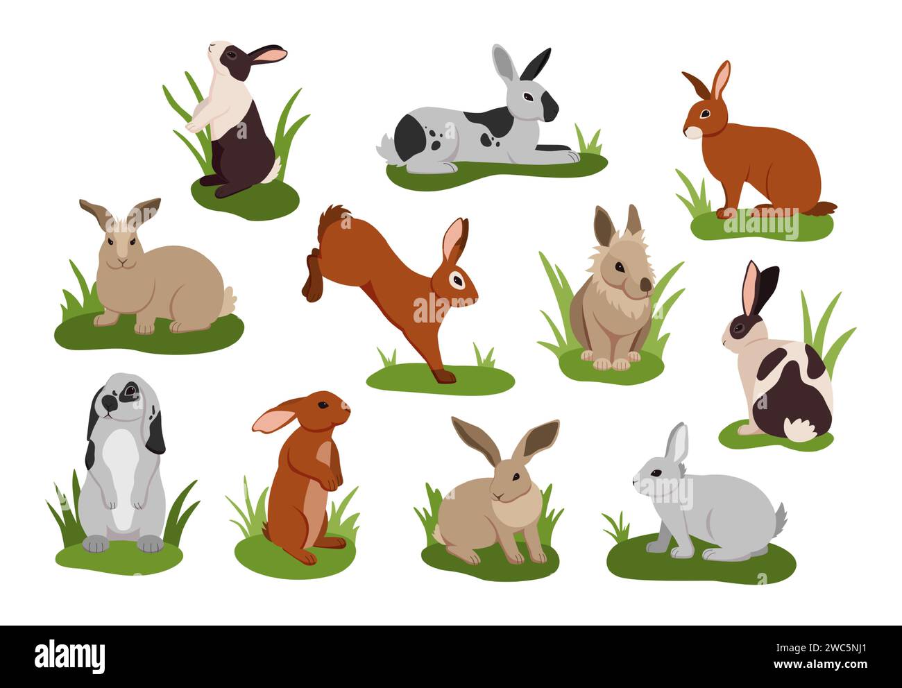 Cartoon rabbit. Cute bunnies with various fur colors. Isolated funny ...