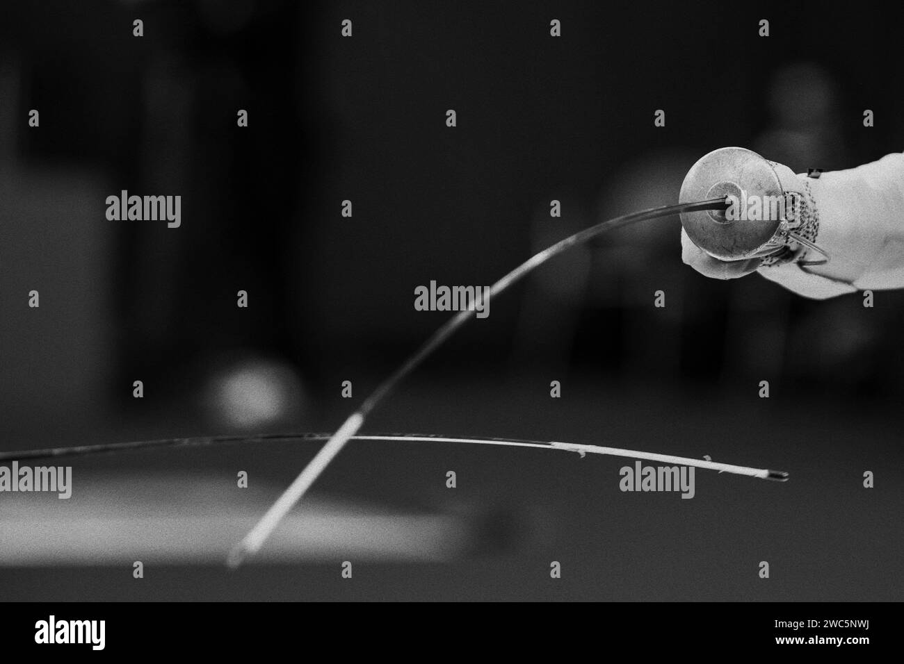 Paris, France. 13th Jan, 2024. Fencing Match (FOIL) during the Mazars ...