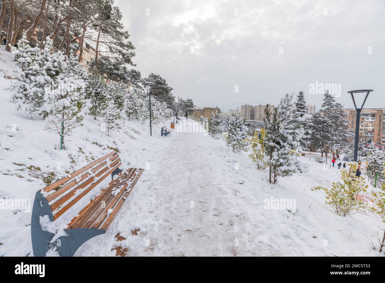 BAKU, AZERBAIJAN - JANUARY 31 2024: A park covered with snow in Baku in ...