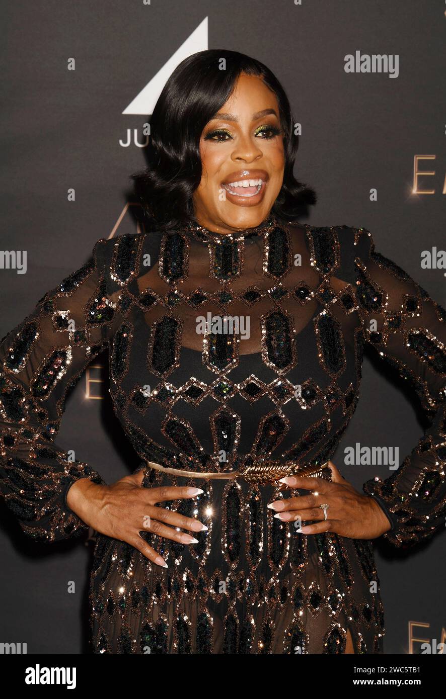 Los Angeles, California, USA. 13th Jan, 2024. Niecy Nash-Betts attends ...