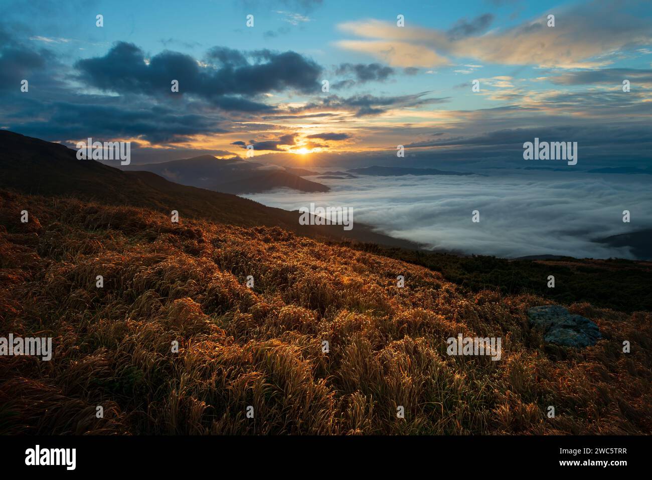 Illuminated by the first rays of the rising sun hi-res stock ...