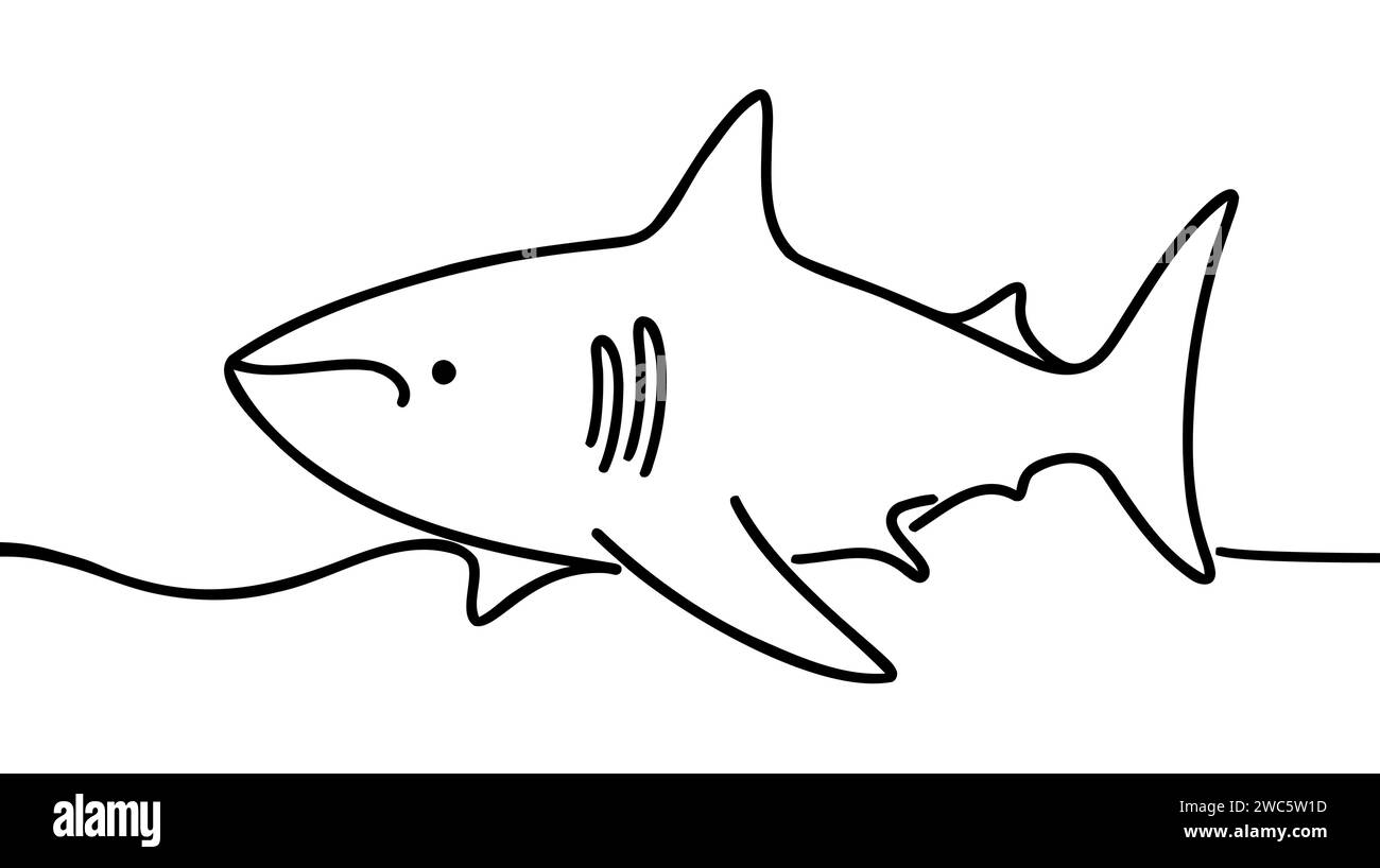 Zig Sharko Real Shark The King Of The Sea Cartoons