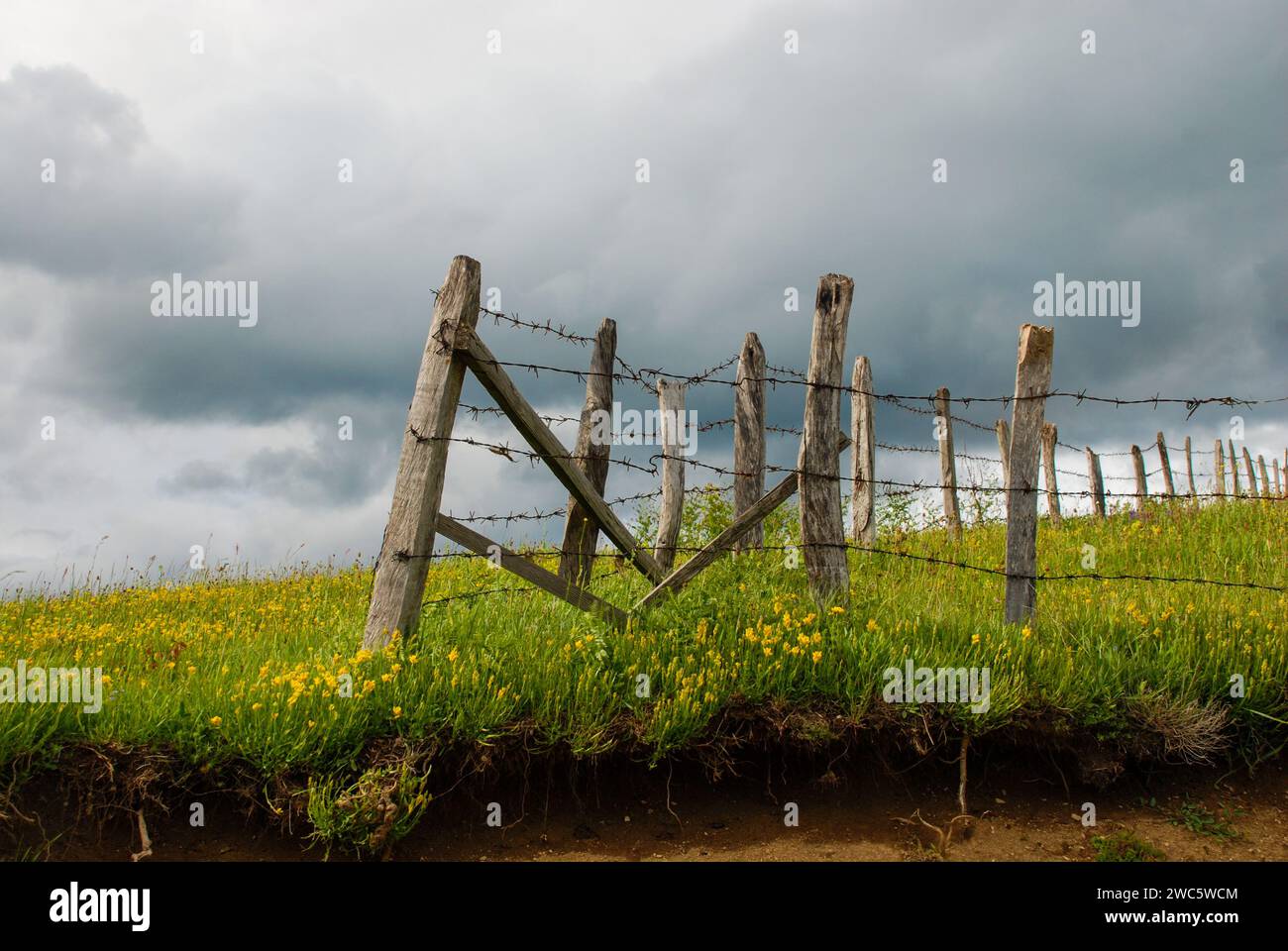 Fence in nature. Rusty metal wire fence Stock Photo - Alamy