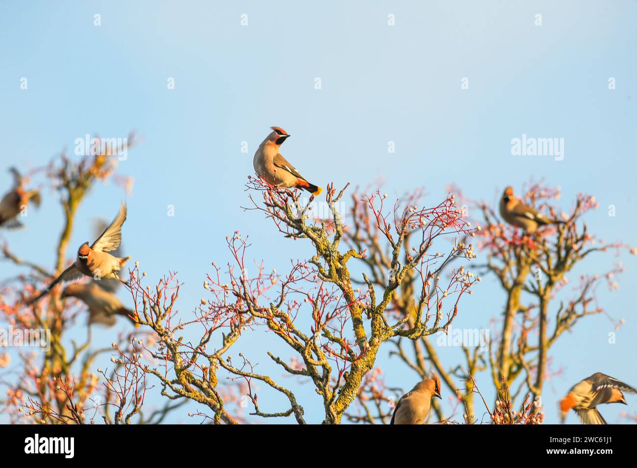 Farnham hospital hi-res stock photography and images - Alamy
