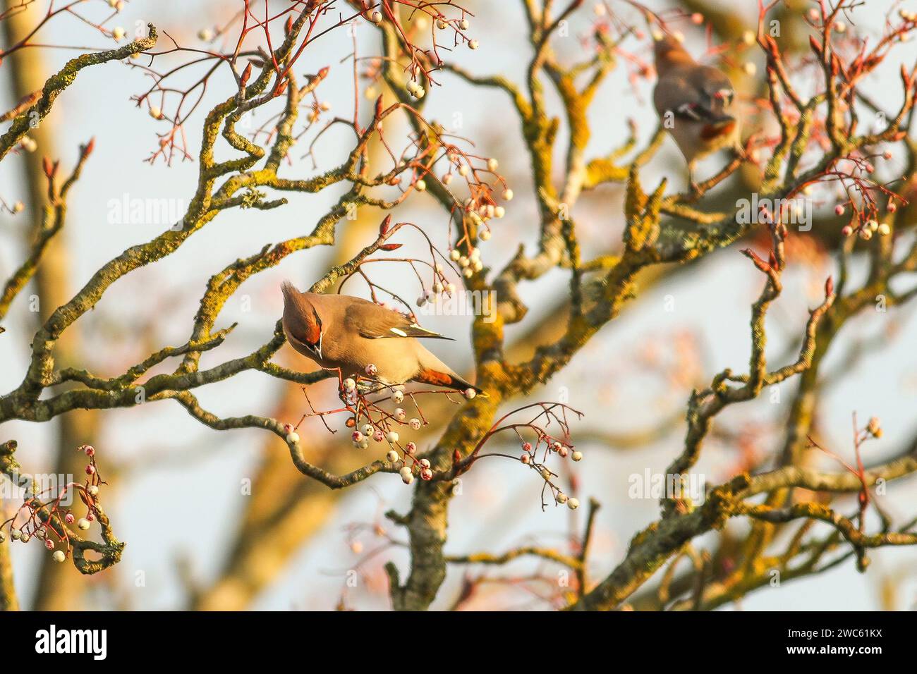 Farnham hospital hi-res stock photography and images - Alamy
