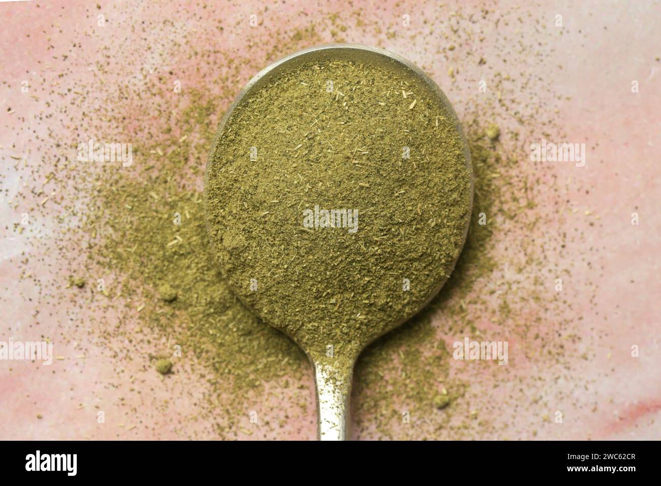 Green powder moringa in the spoon. Concept of nutritional supplement ...