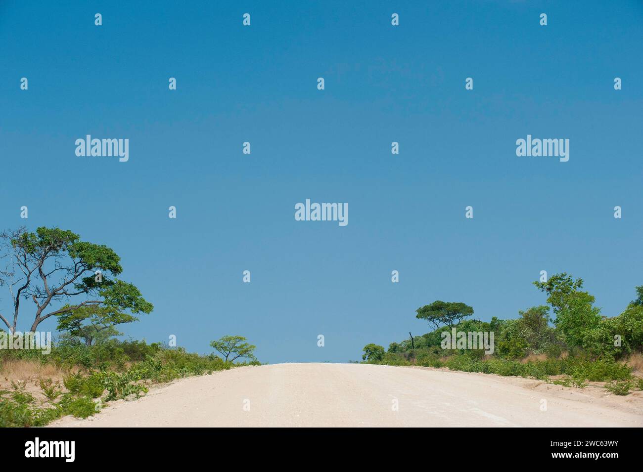 The C44 near Tsumke, road, highway, path, nobody, blue sky, lonely ...
