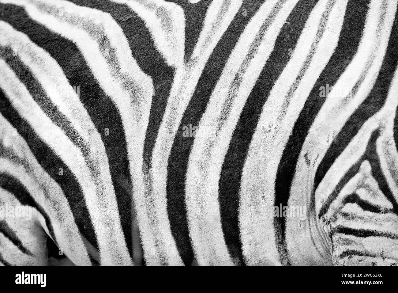 Individual reserve Black and White Stock Photos & Images - Alamy