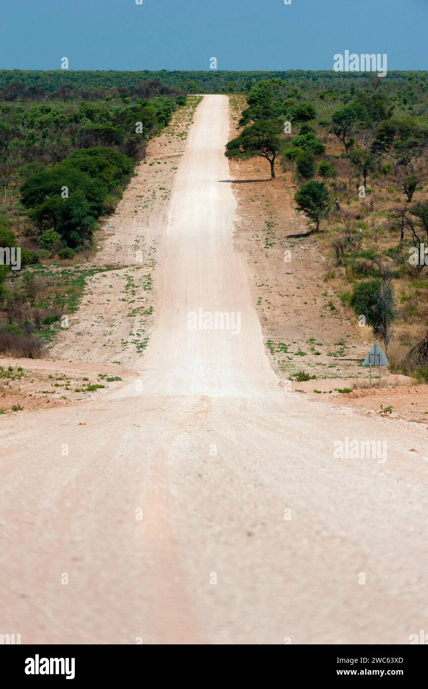 The C44 near Tsumke, road, highway, path, centre, nobody, lonely, road ...