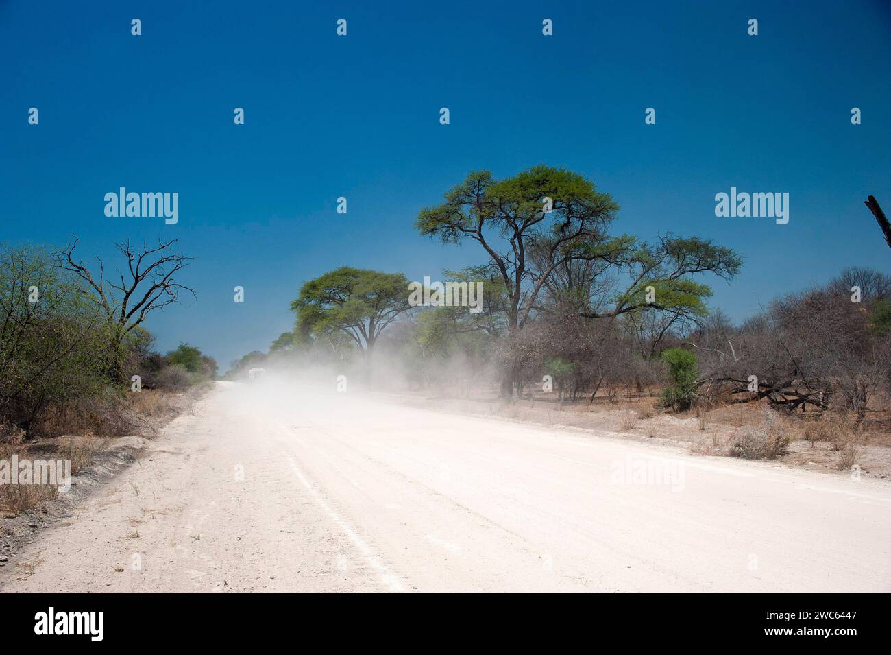 The C44 near Tsumke, road, highway, path, centre, nobody, lonely, road ...