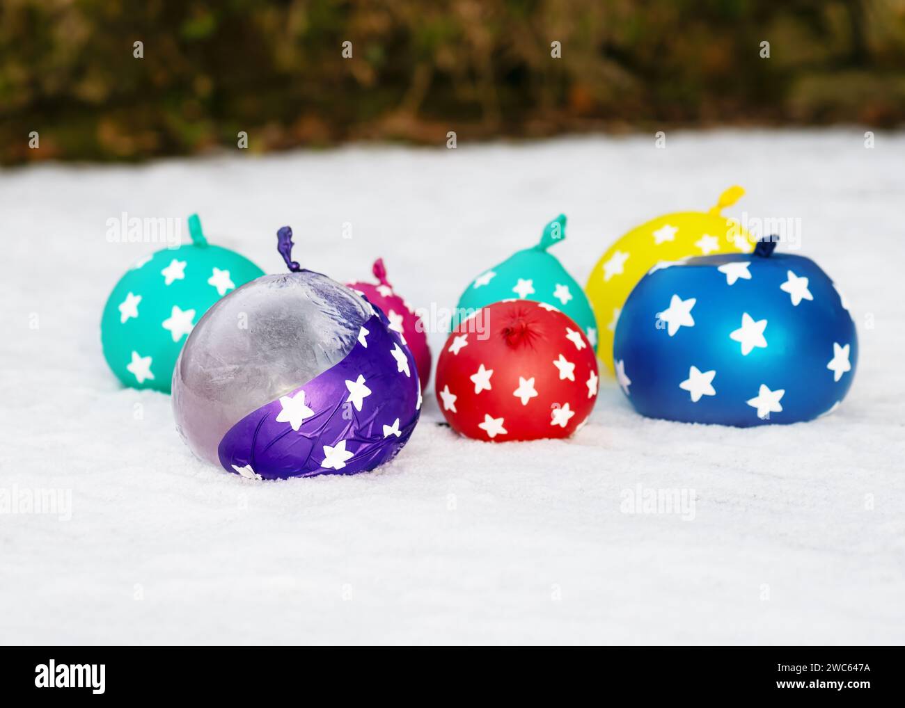 Opening one of frozen balloons. Making Ice Lanterns with latex balloons ...