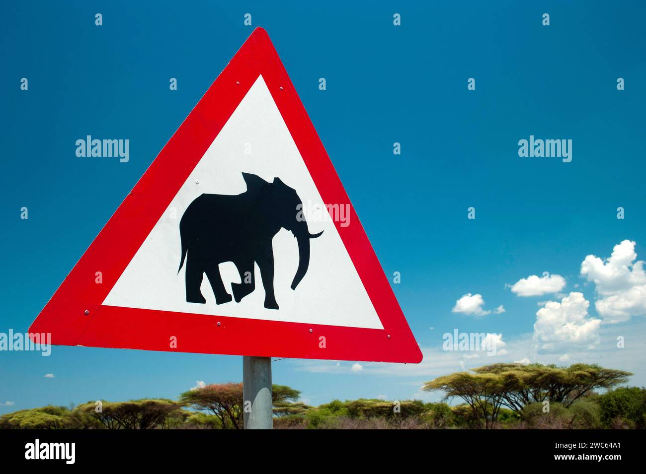 Warning of elephants, traffic sign, traffic, elephant, warning sign ...